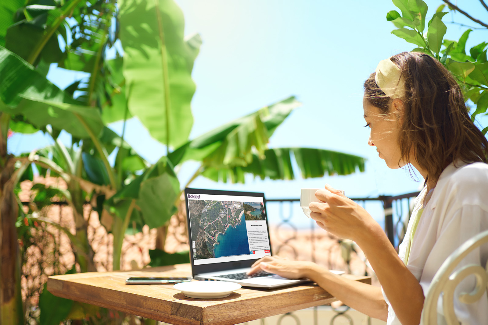 Boldest - Premium Interactive Maps